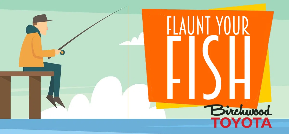 Flaunt Your Fish! | QX104 - Country