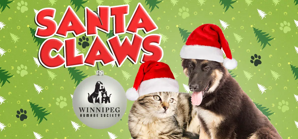 Santa Claws! | QX104 - Country