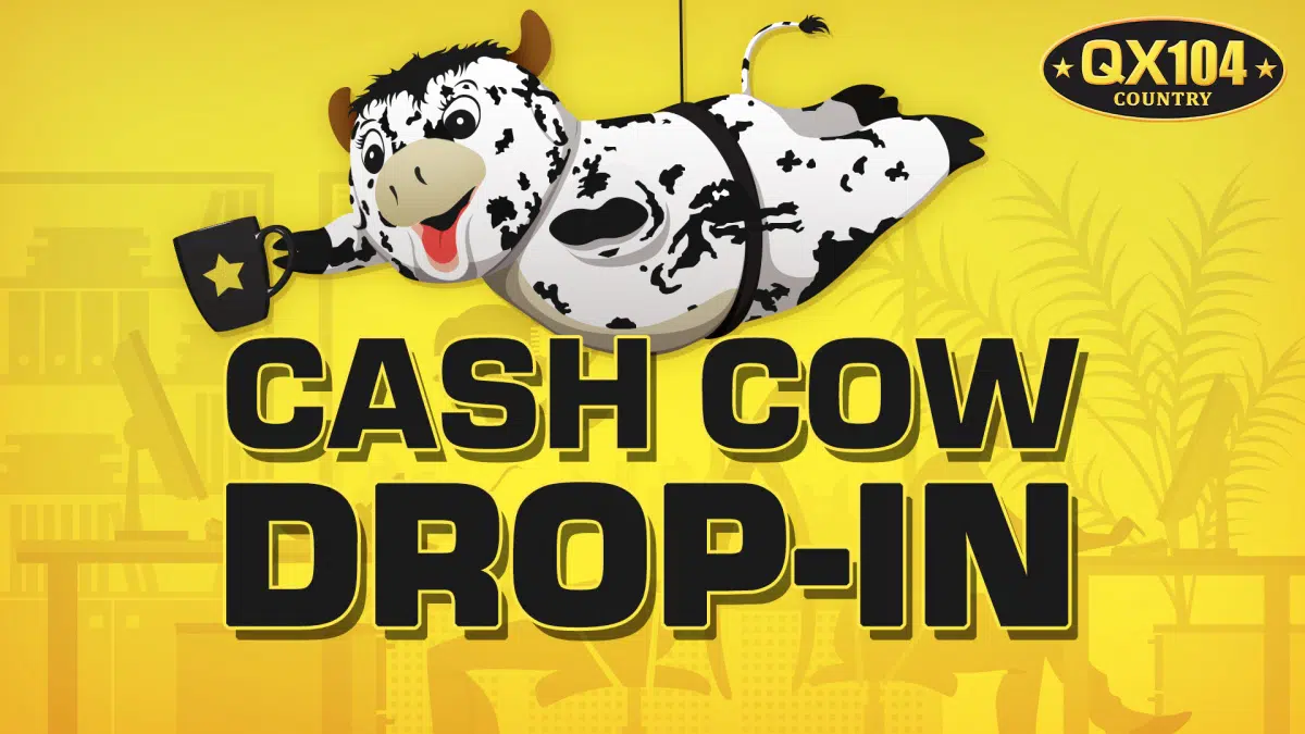 QX104 Cash Cow Drop-ins | QX104 - Country