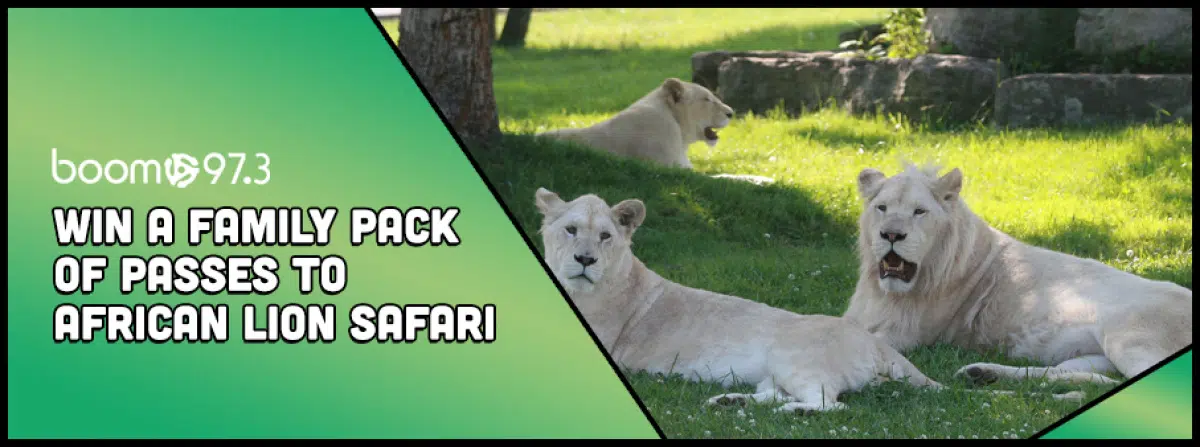 Win a Family Pack of Passes to African Lion Safari | boom 97.3 - 70s ...