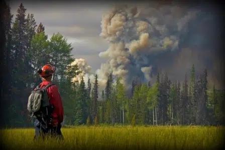 Northwest Fire Centre prepares for new and old fires to flare up with ...