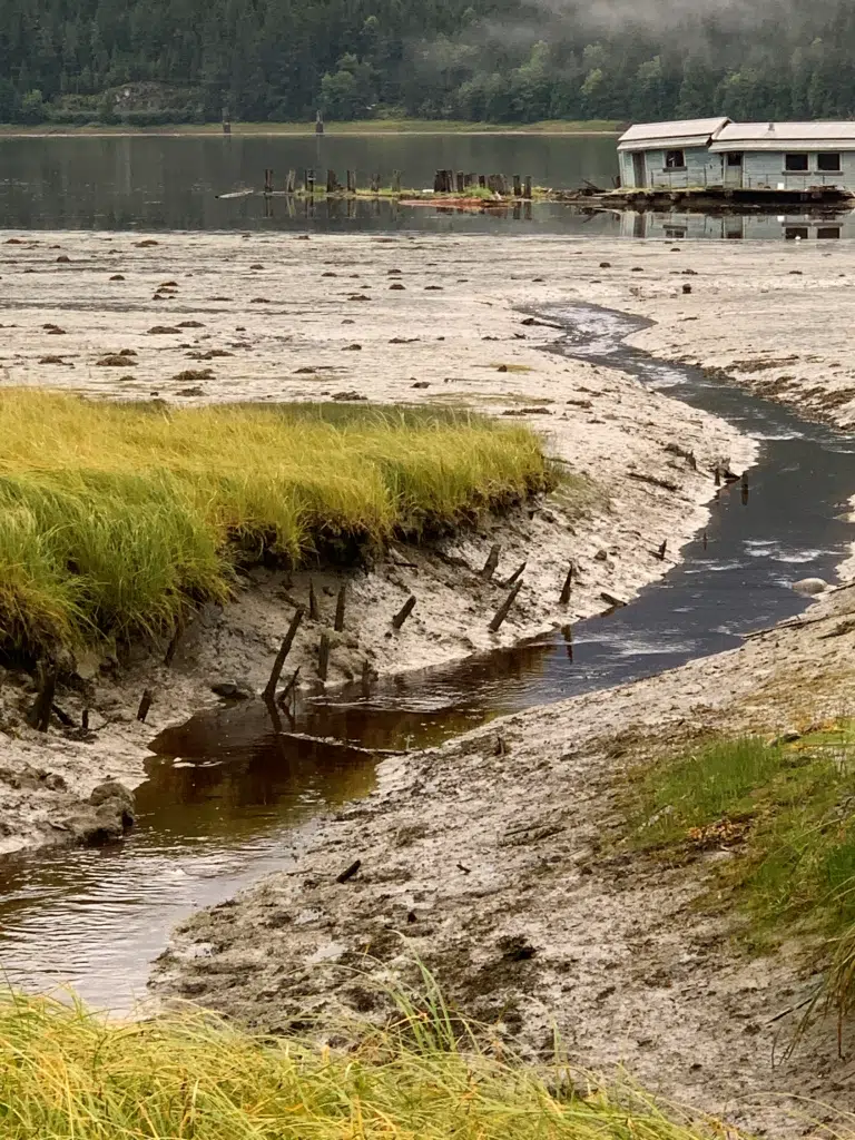 Fish weirs discovered in Minette Bay | CFNR Network
