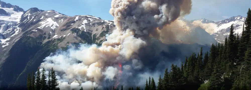 White Rock Lake fire grows overnight and forces more evacuation orders ...