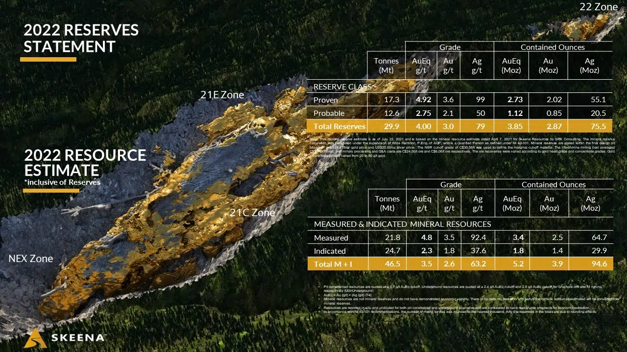 Skeena Resources Releases Technical Report and Feasibility Study on ...