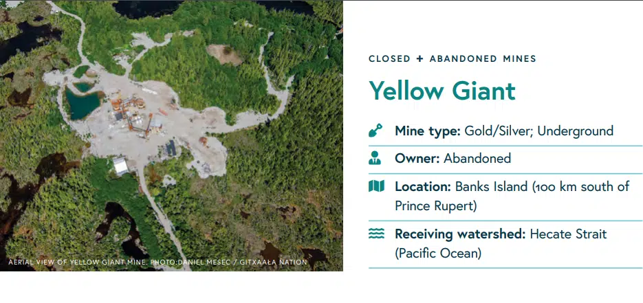 Former Banks Island Gold CEO Who Oversaw Yellow Giant Mine Fined ...