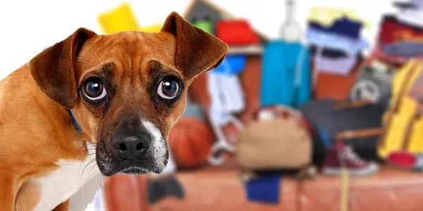 Address The Mess | SPIRIT 105.3