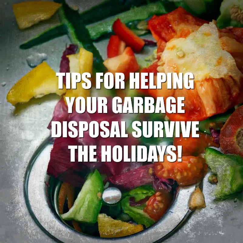 Tips For Helping Your Garbage Disposal Survive the Holidays | SPIRIT 105.3
