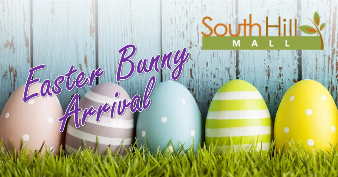 AllMomDoes Play Date - Easter Bunny Arrival | KCIS 630