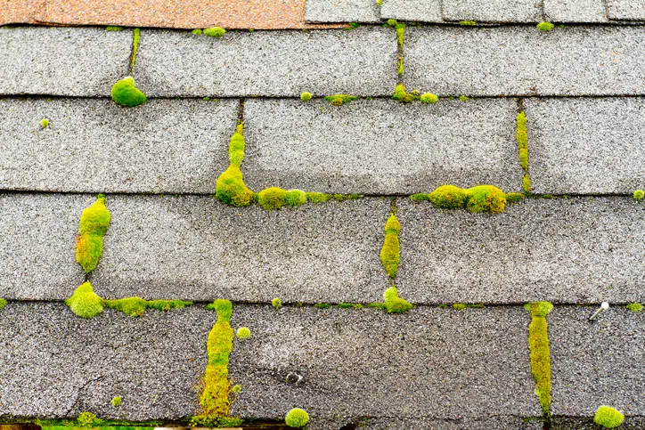 Roofing 101: Five Spring Roof Issues to Look For | SPIRIT 105.3