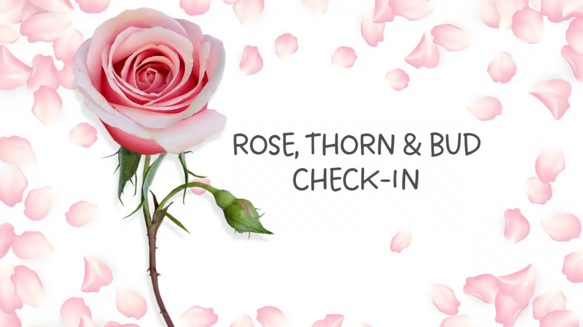 Rose – Bud – Thorn Conversation Starter | SPIRIT 105.3