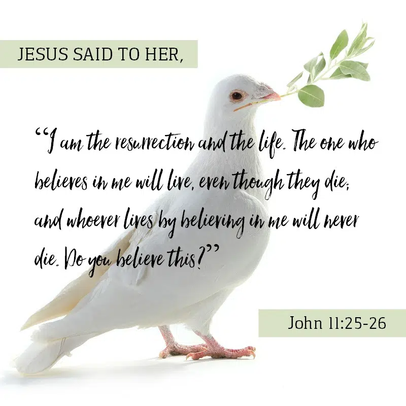 John 11:25-26 | KCIS 630