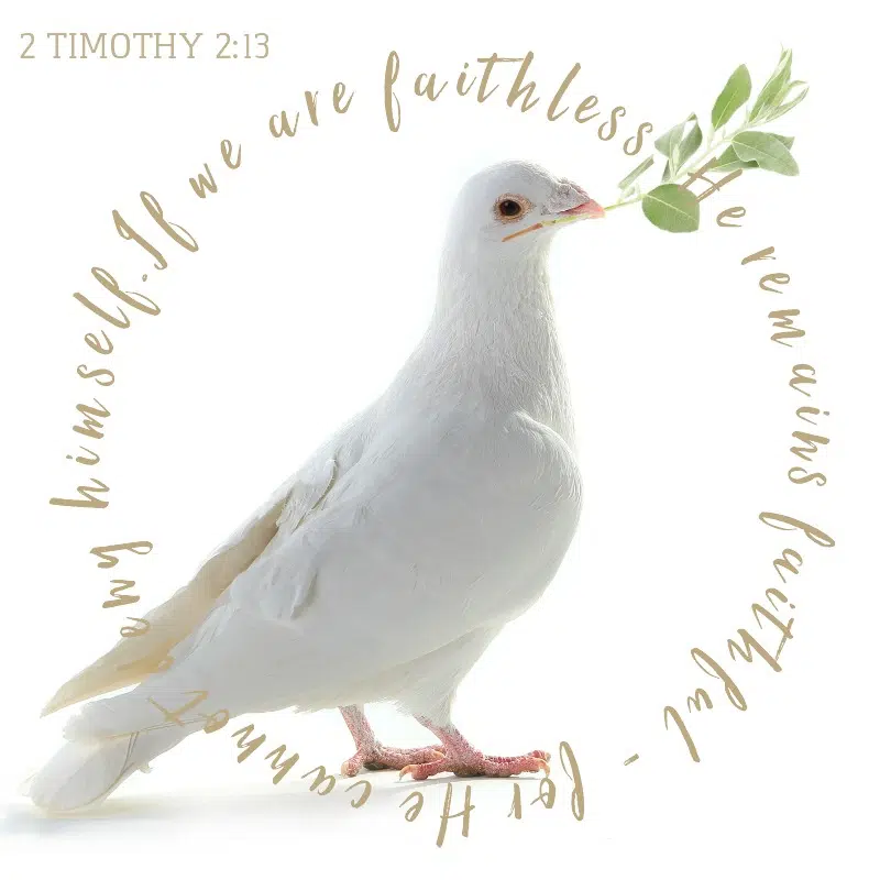 2 Timothy 2:13 | KCIS 630