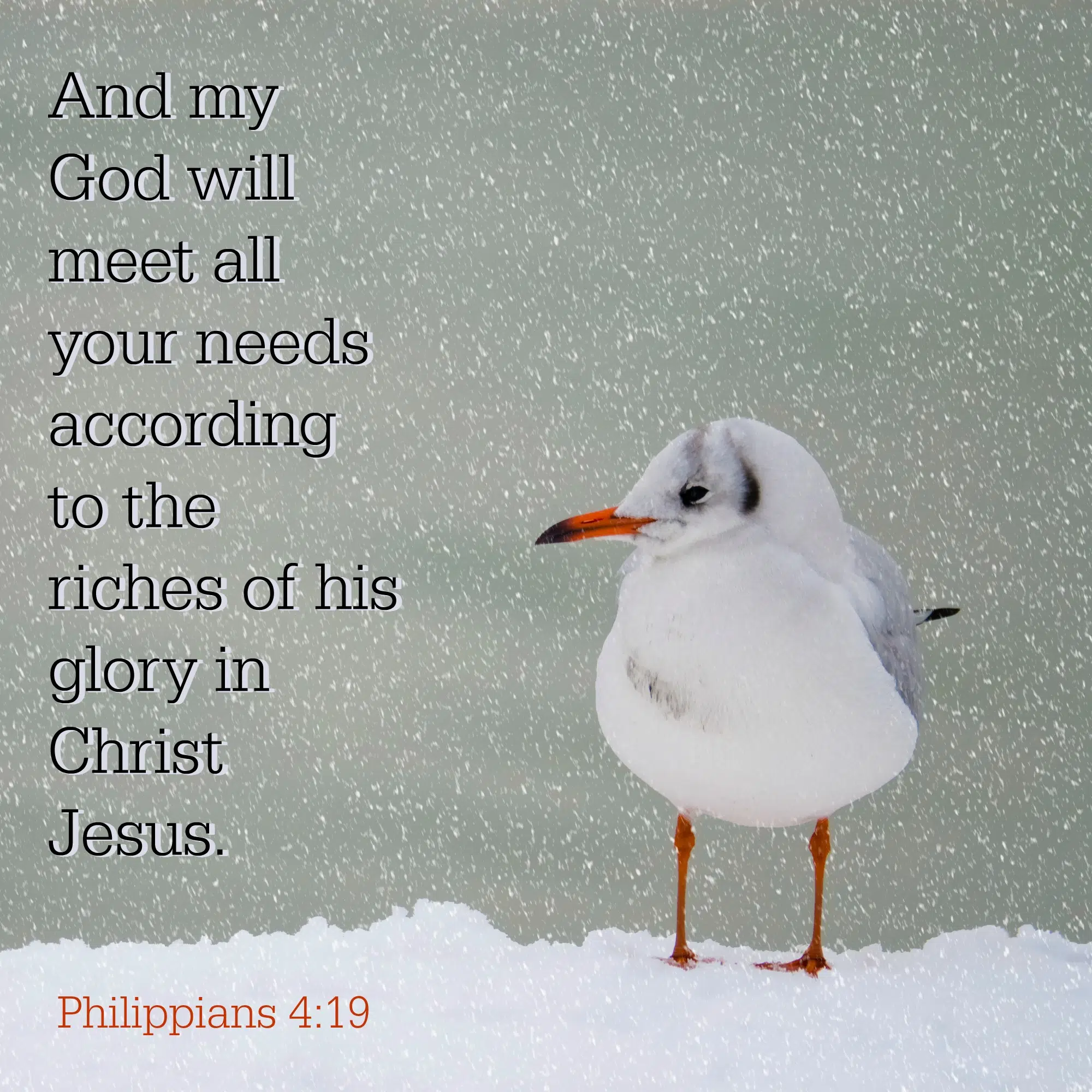 Philippians 4:19 | KCIS 630