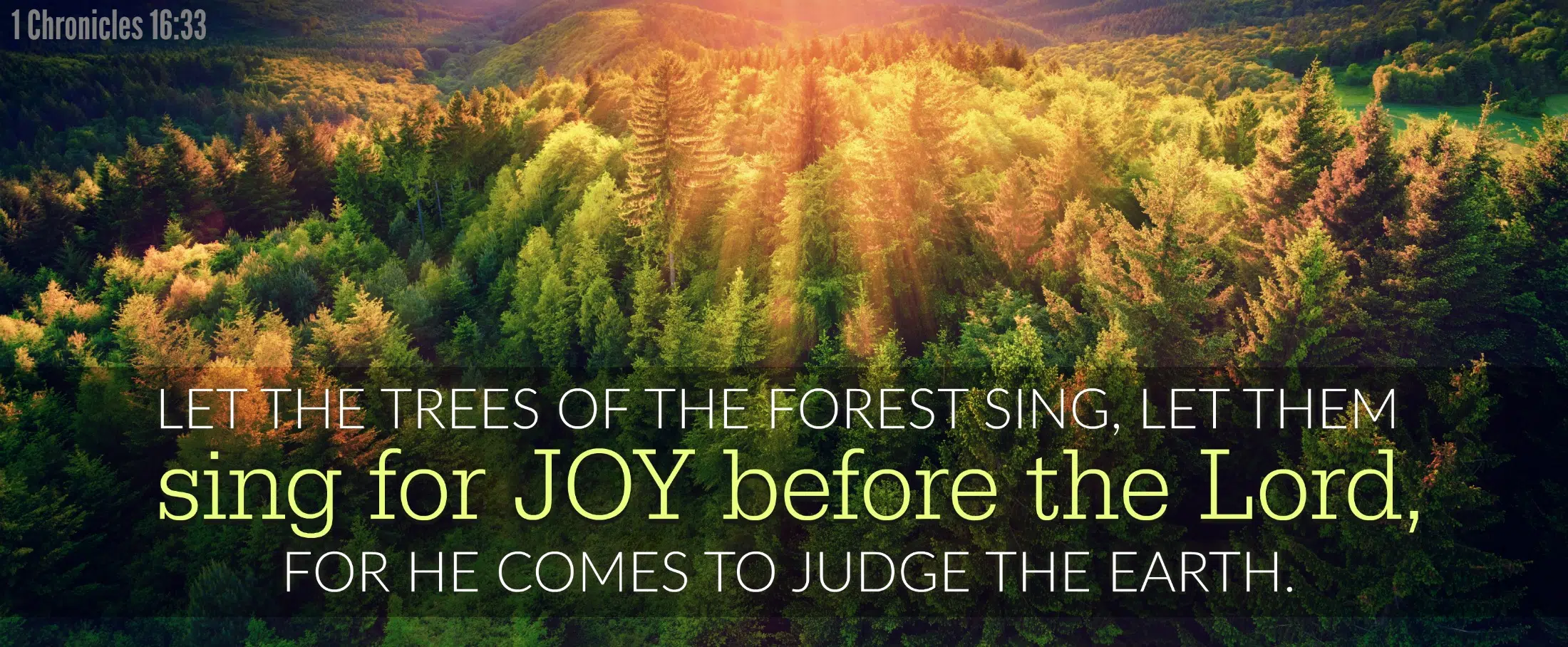 1 Chronicles 16:33 | KCIS 630