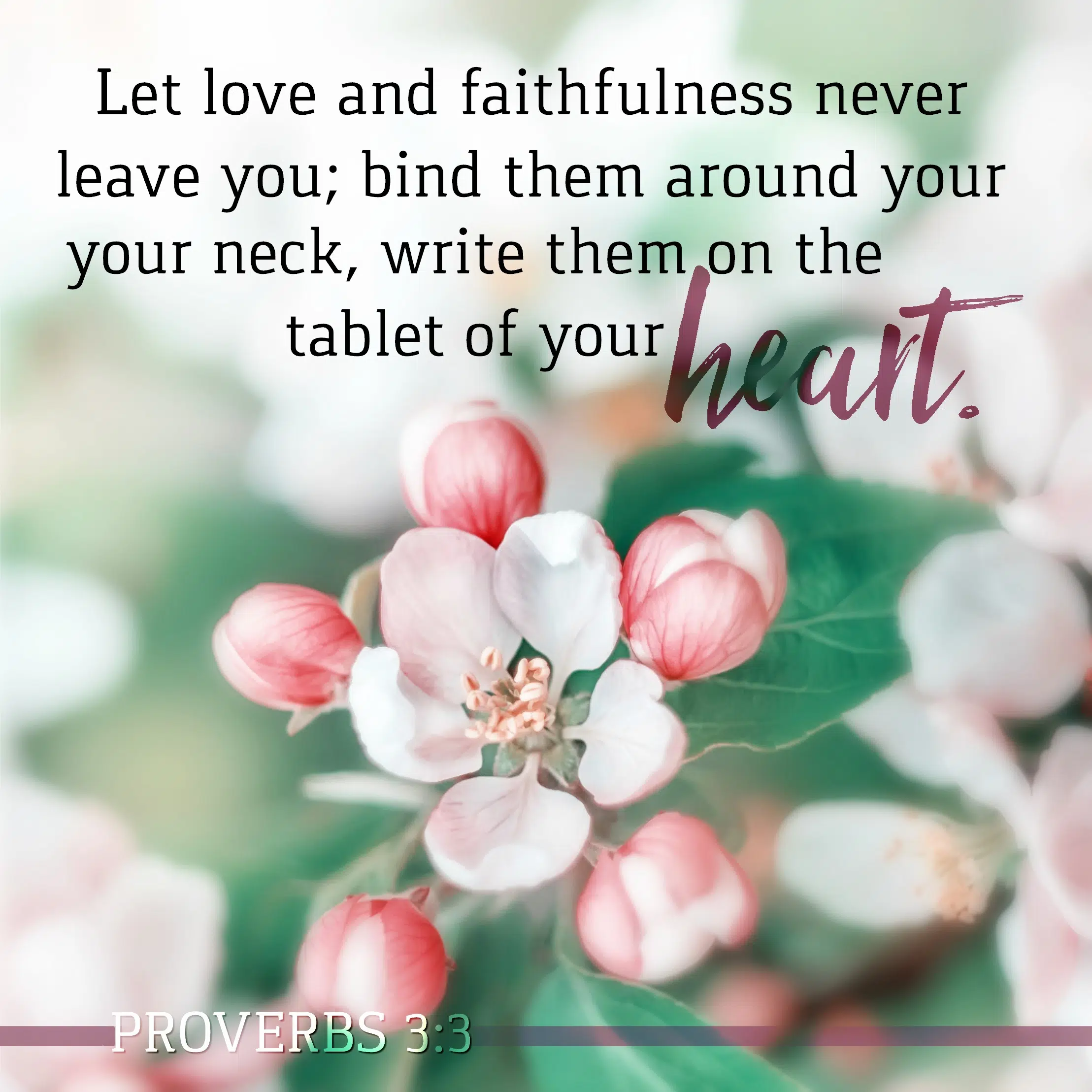 Proverbs 3:3 | KCIS 630