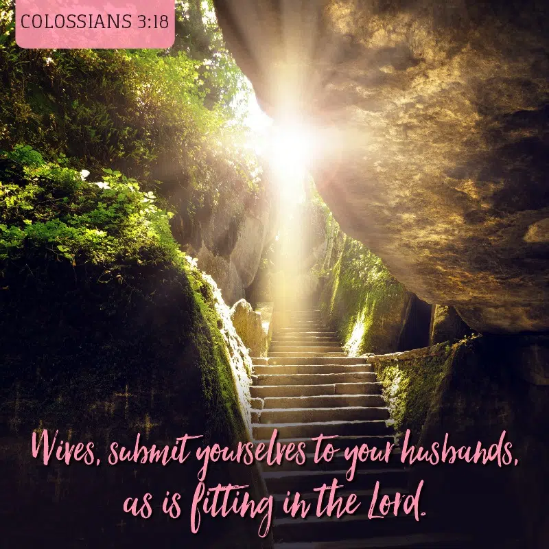 Daily Verse: Colossians 3:18 | KCIS 630