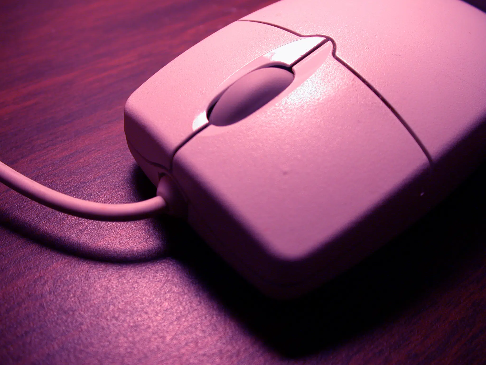 A Pink Mouse Changed My Life | AllMomDoes