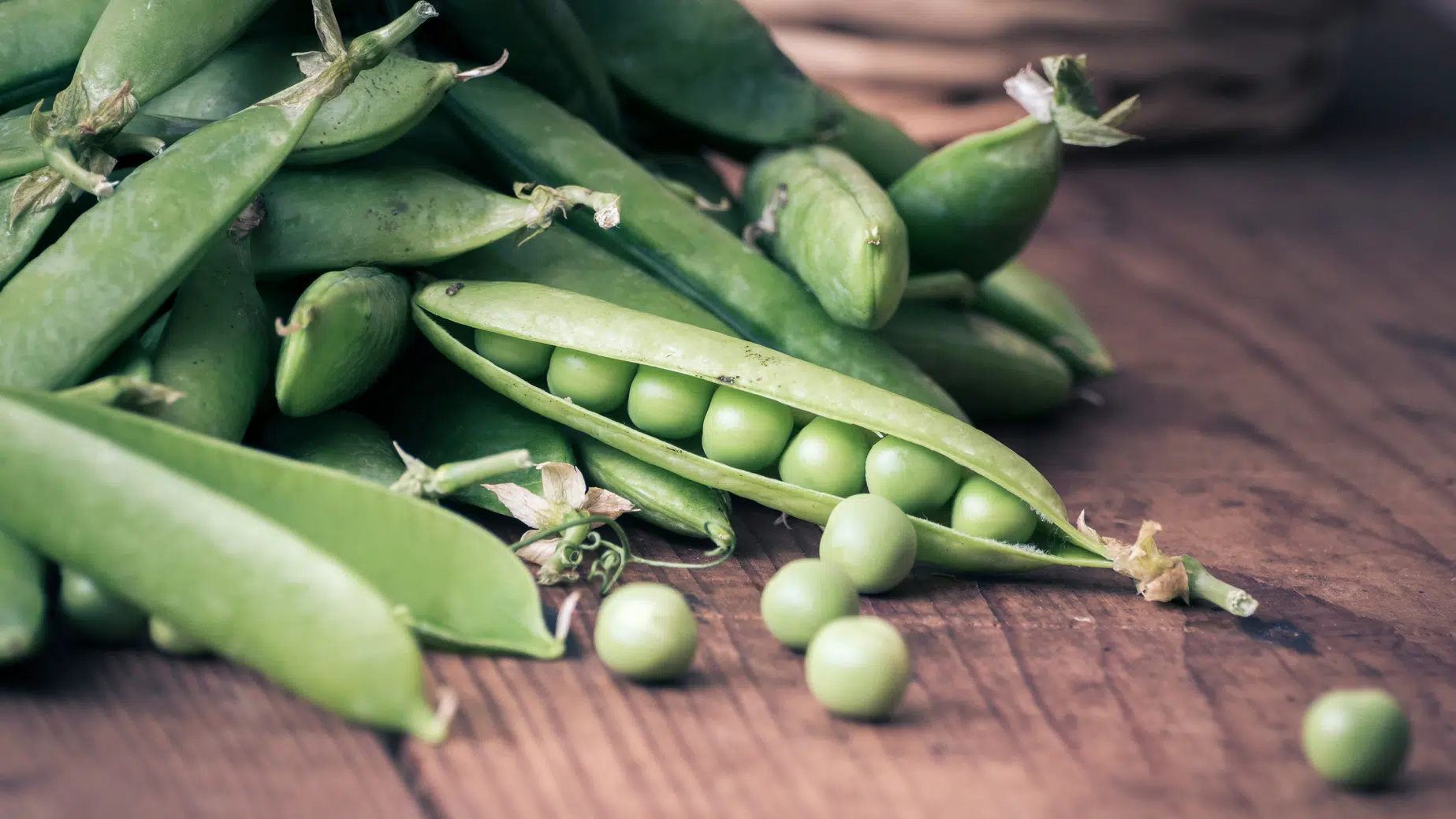 Growing Peas and Children | AllMomDoes