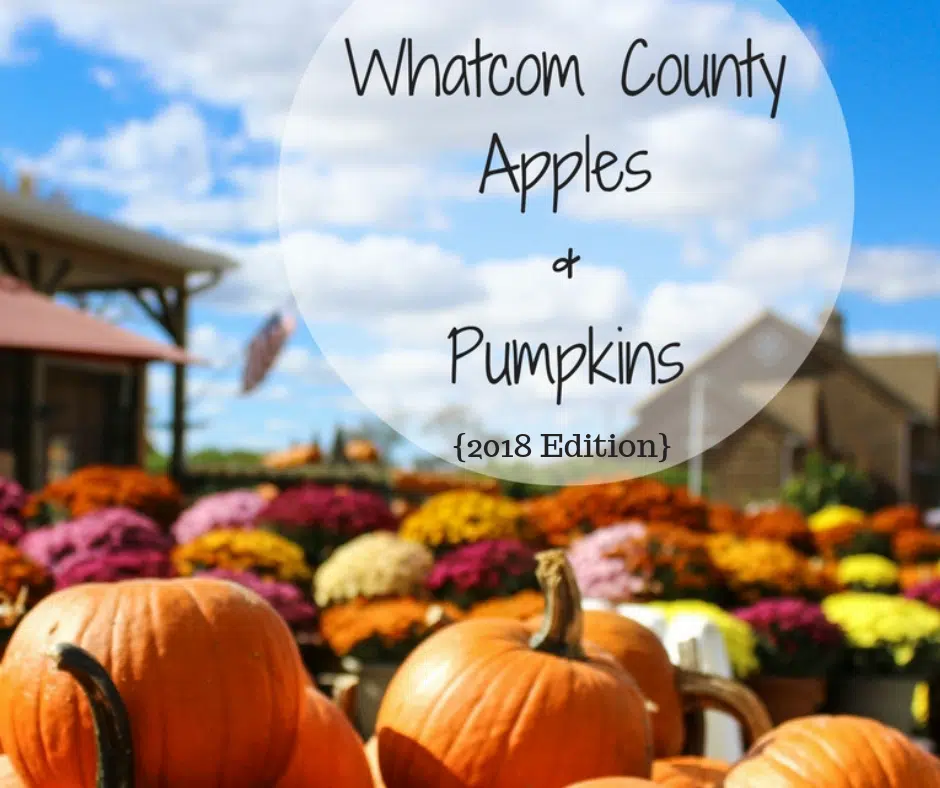 Whatcom County Apples & Pumpkins {2018 Edition} | AllMomDoes