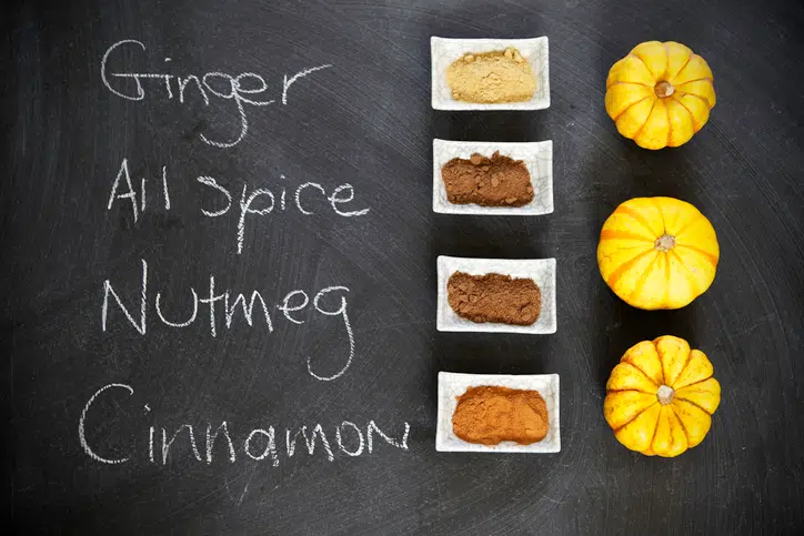 Pumpkin Spice Madness: Eleven Fall-Flavored Products No One Needs ...