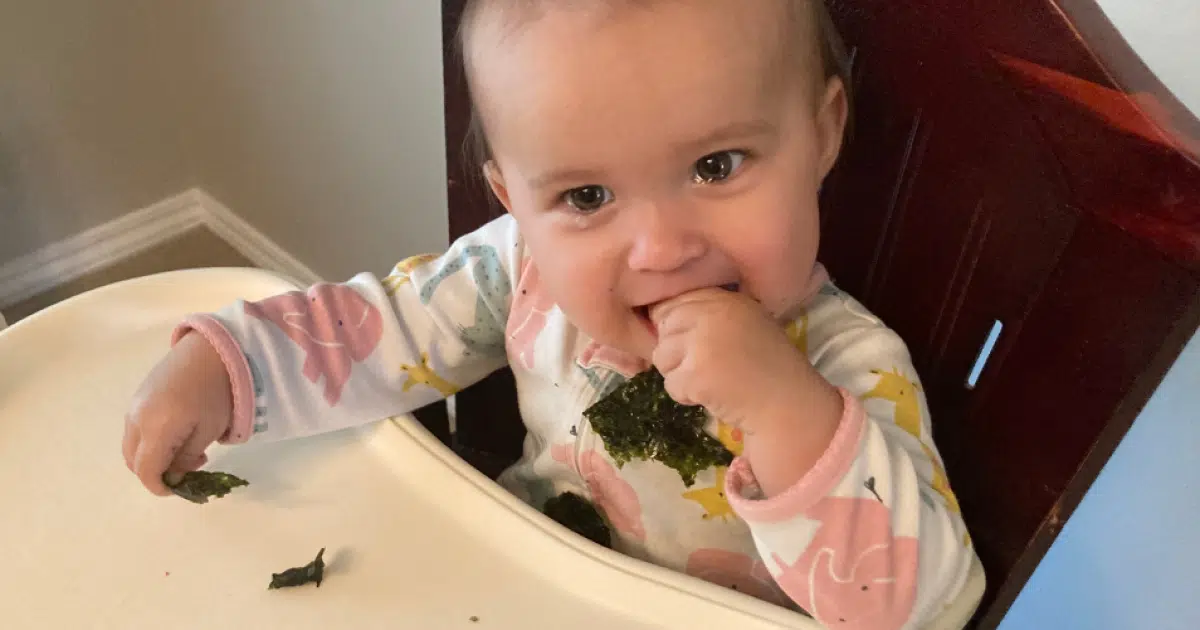 Gobble the Seaweed | AllMomDoes