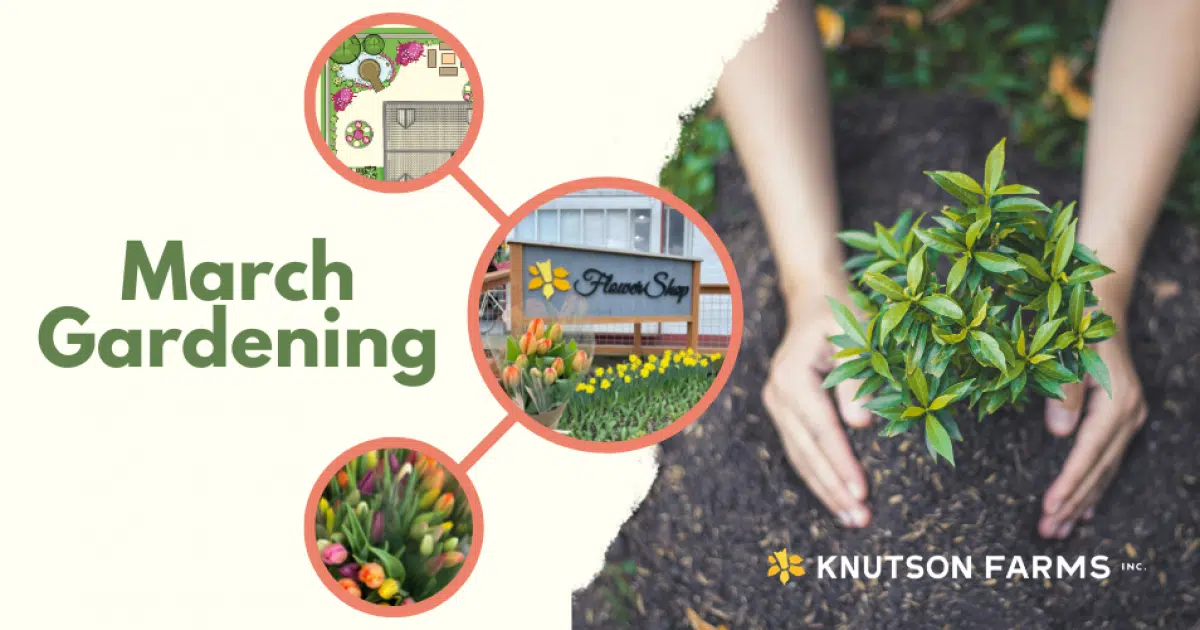 March Gardening | AllMomDoes