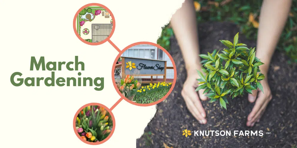 March Gardening | AllMomDoes