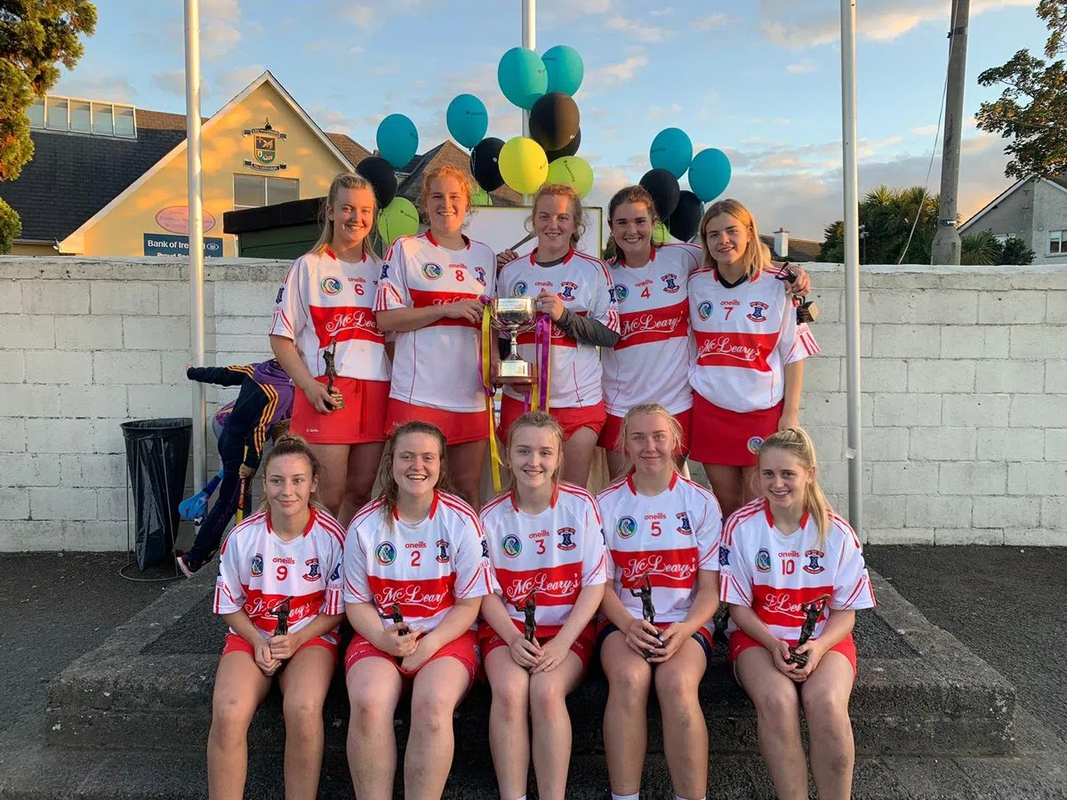 De La Salle crowned All Ireland 7s camogie champions | WLR