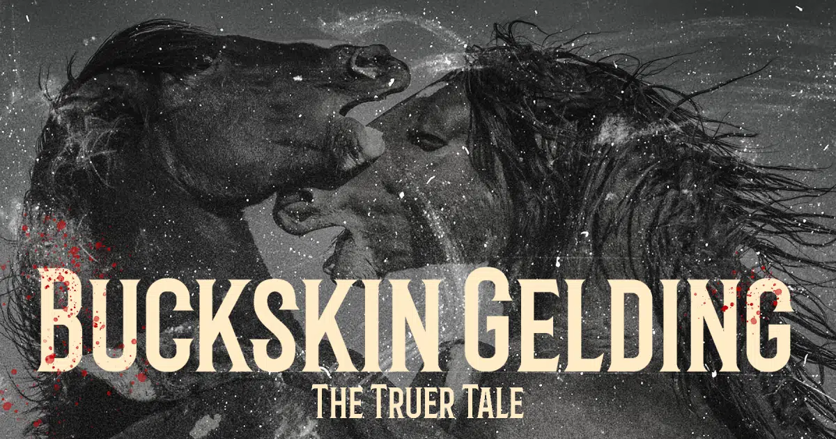 LISTEN: John Teague from the Teague Brothers on Texas Nights with ...