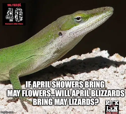 A Reptile Dysfunction! | 105.7 WAPL | Wisconsin's Classic Rock