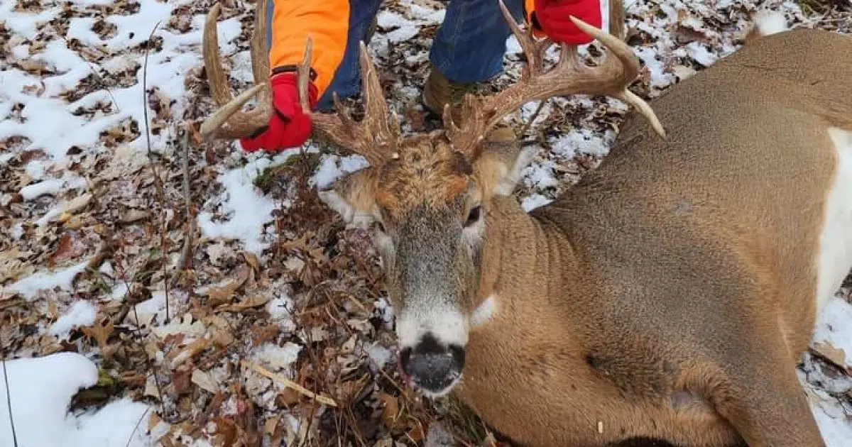 Weenie of the Week 11-23-22 Rack Rustled [AUDIO/VIDEO] | 105.7 WAPL ...