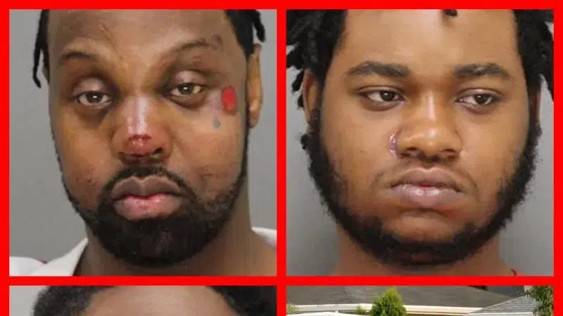 Player | WAPL Deep Cuts