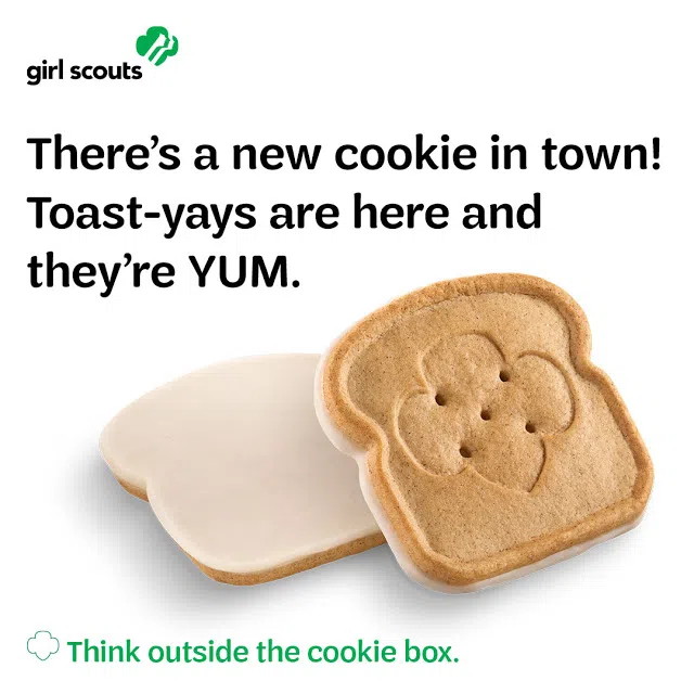 Girl Scouts Announce New Toast-Yay! Cookies Coming In 2021 [PHOTO ...