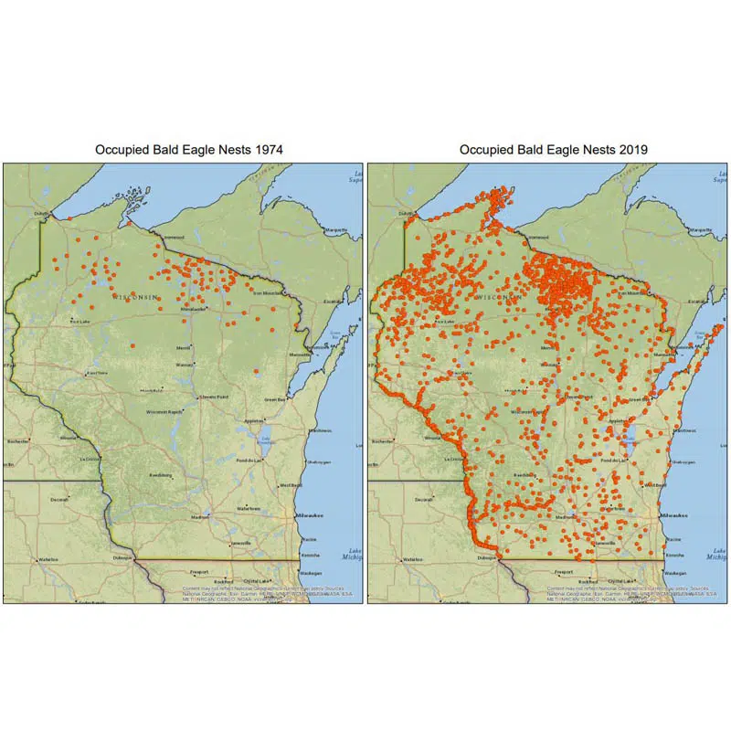 Map shows comeback of bald eagles | WHBY