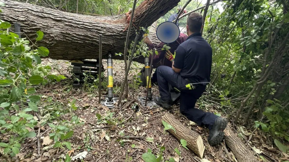 Person rescued from under fallen tree in Neenah | 105.7 WAPL | The ...