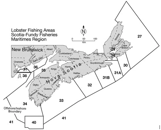 Lobster season delayed in parts of Quad Counties | 101.5 The Hawk