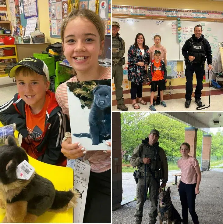 One of the ‘Name the RCMP Puppies’ winners is from Cape Breton | 101.5 ...