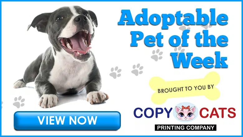 K-94.7 WKLW FM | East Kentucky's Hit Music