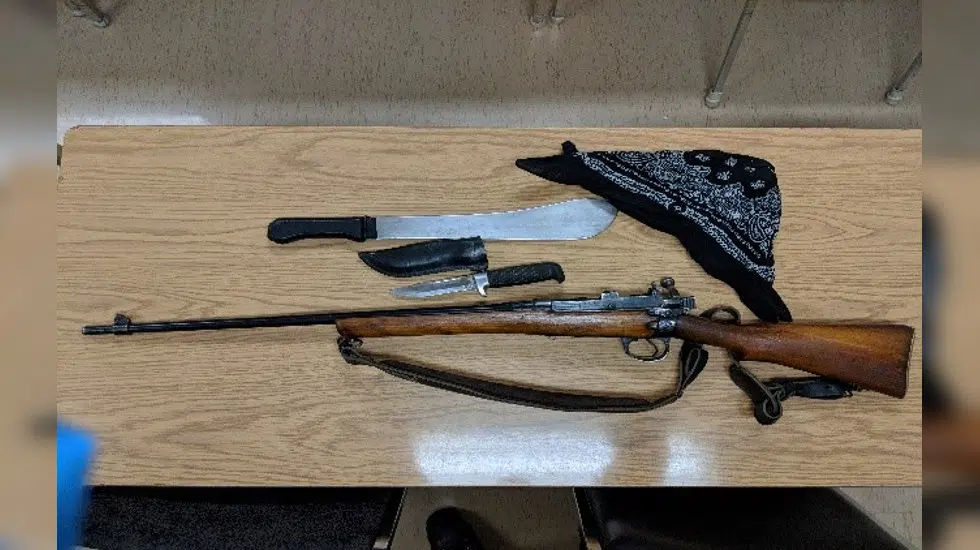 Rifle-File-2018-36971 | paNOW