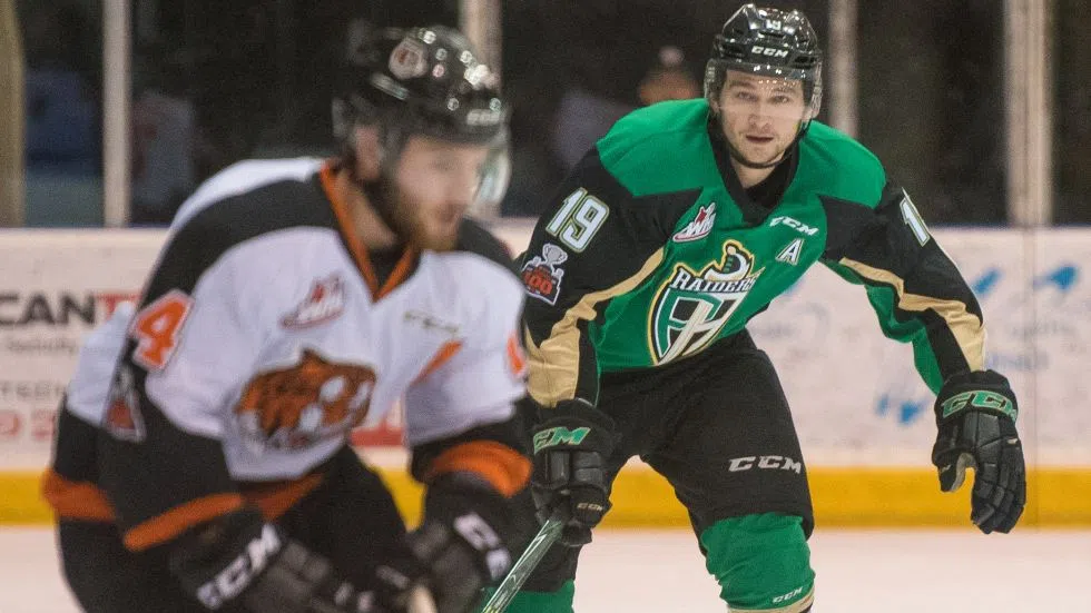 Stallard inks tryout agreement with Manitoba Moose | paNOW