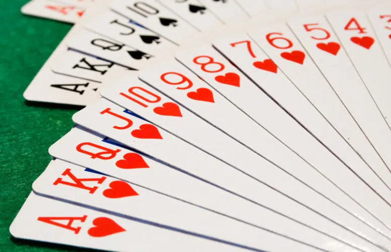 Beginner Bridge Lessons | paNOW