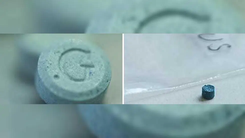 ‘Like drinking pesticide’: health expert, police explain 2C-B | paNOW