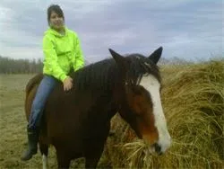 Equine Assisted Learning at Rivers North Ranch – MacDowall | paNOW
