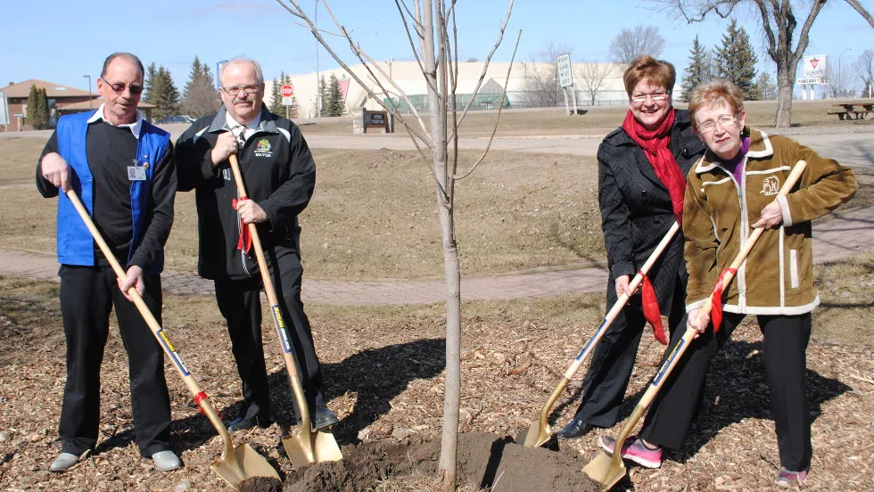 PAPHR volunteers at the root of strong communities | paNOW