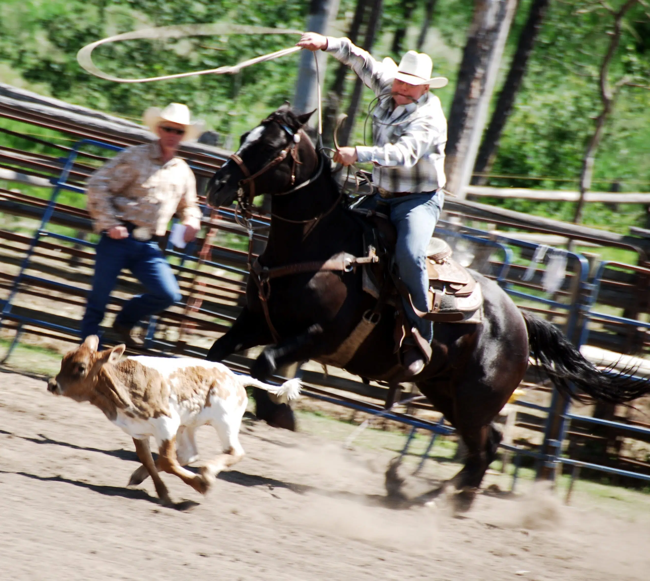 Red River Roping and Riding host weekend rodeo | paNOW