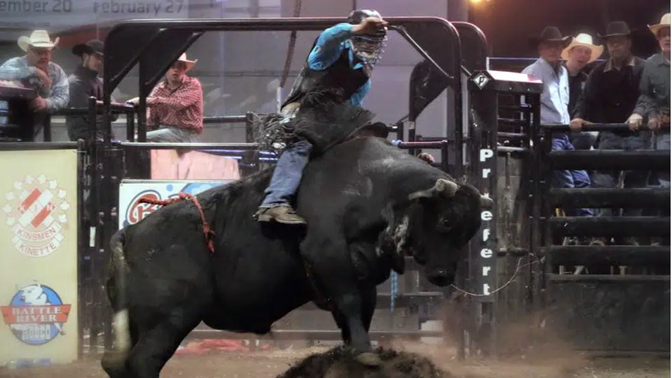 Alarming rodeo incident results in only stitches for bull rider | paNOW
