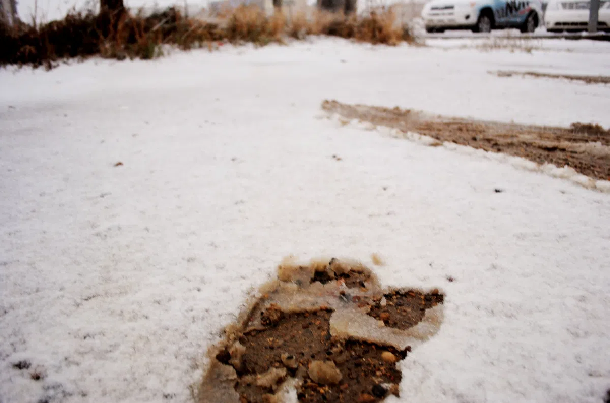 Prince Albert and area hit by first major snowfall of the season | paNOW