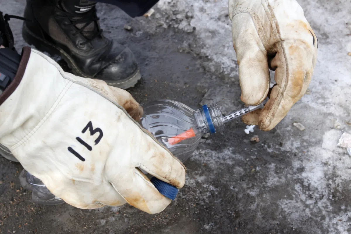 Spring melt reveals needle issue | paNOW