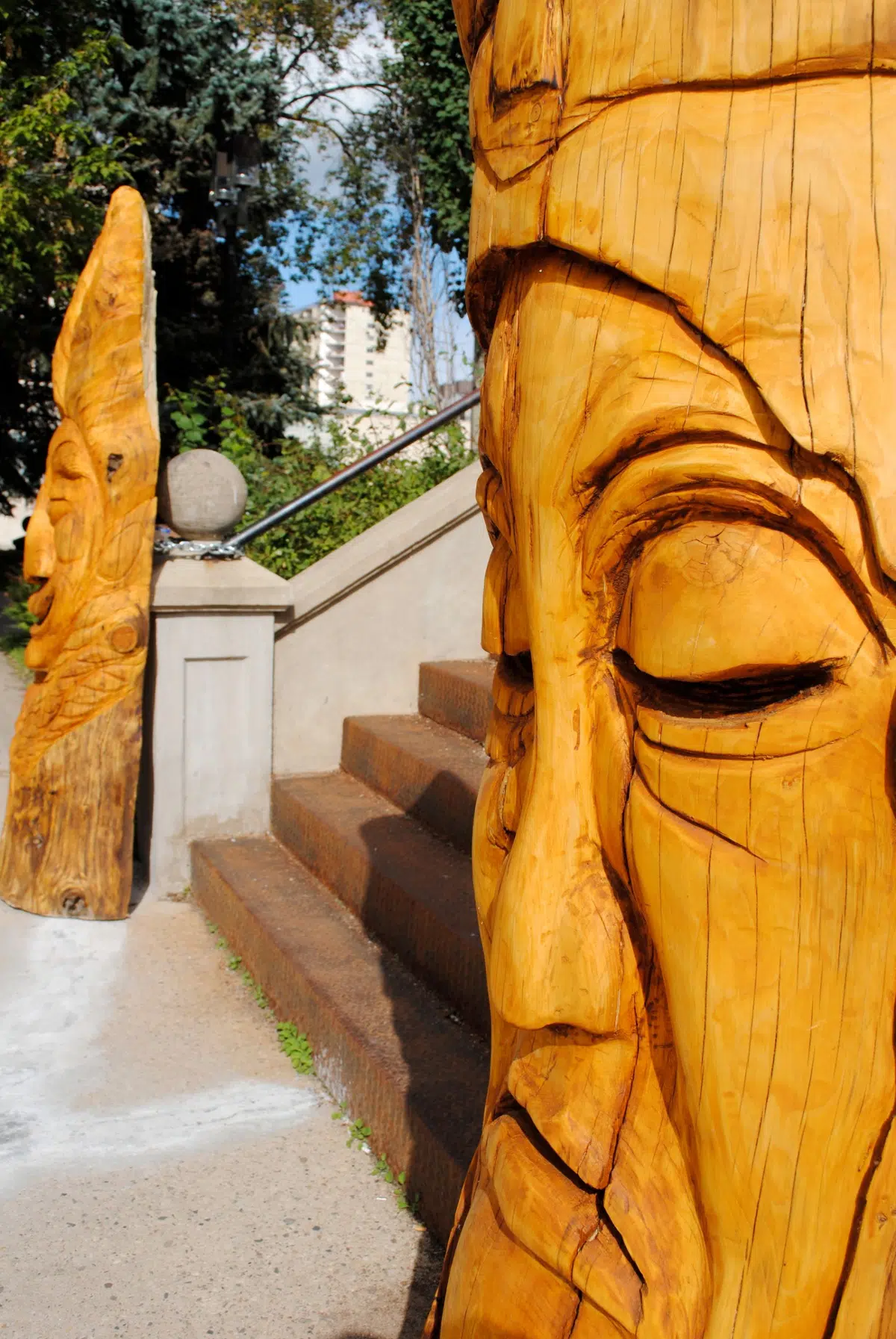 PHOTOS: Log carving art exhibit showcases nature | paNOW