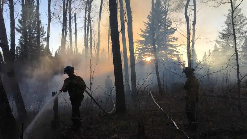 Various wildfire mitigation projects proposed for city | paNOW